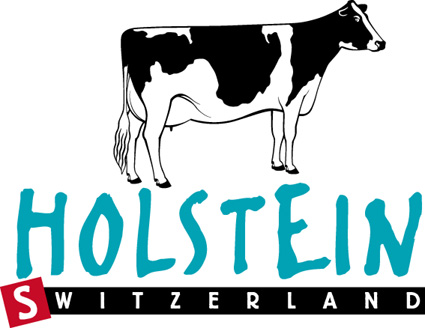 Holstein Switzerland