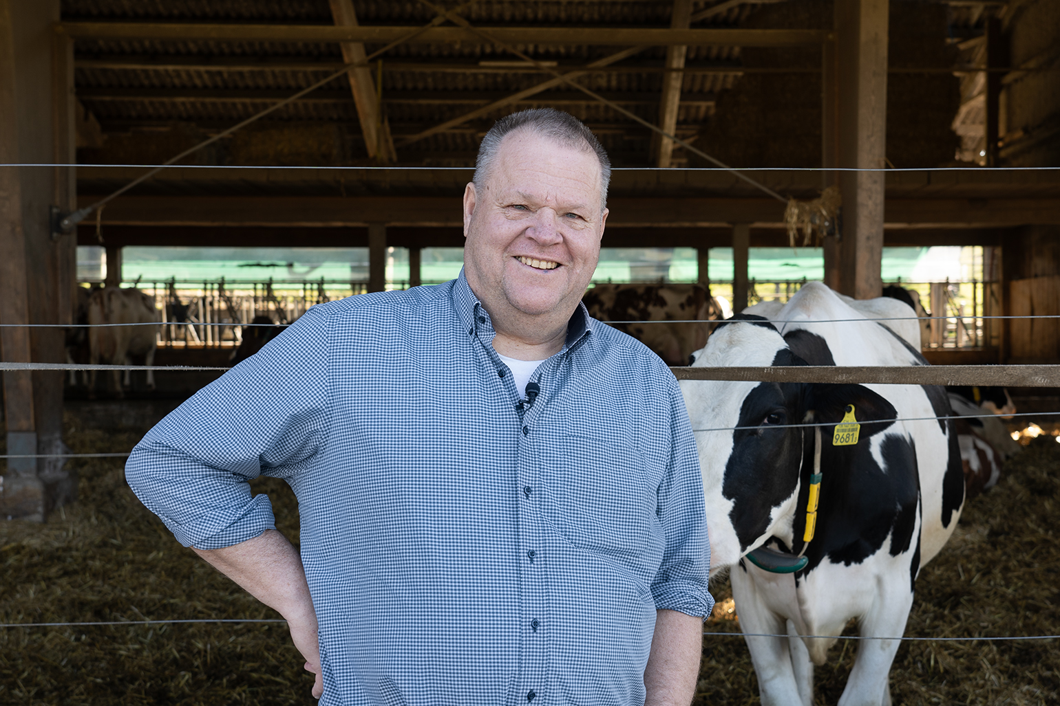 BVD : Augen auf beim Tierhandel - Holstein Switzerland